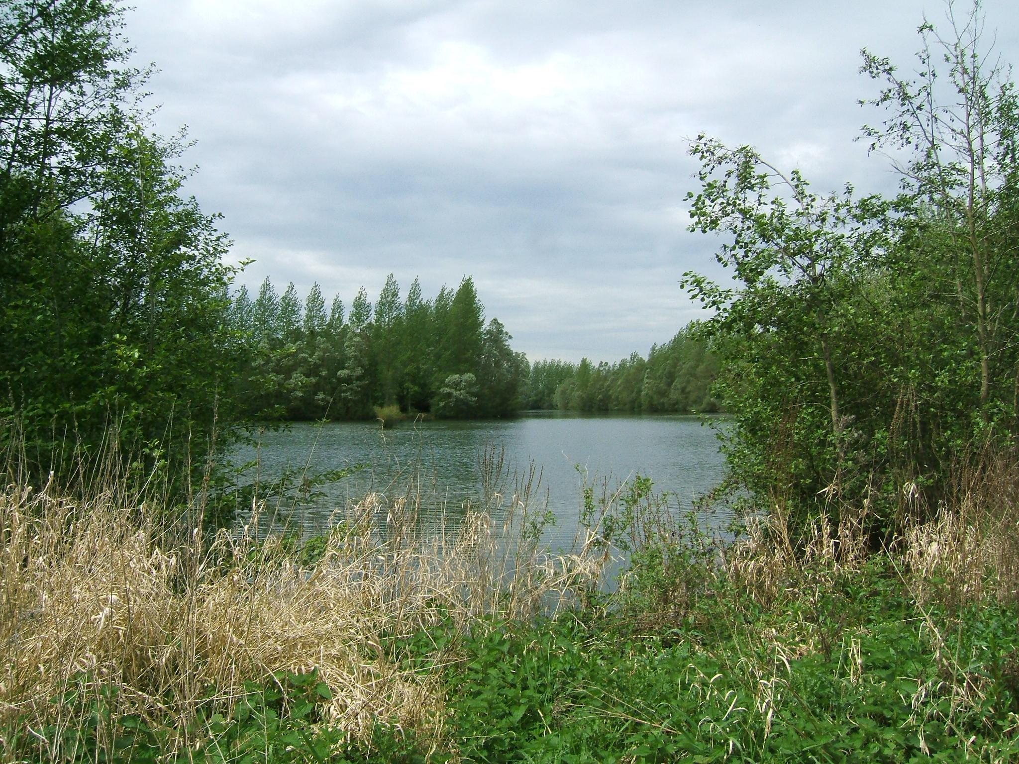Reconversion d'une gravière | Forest Time