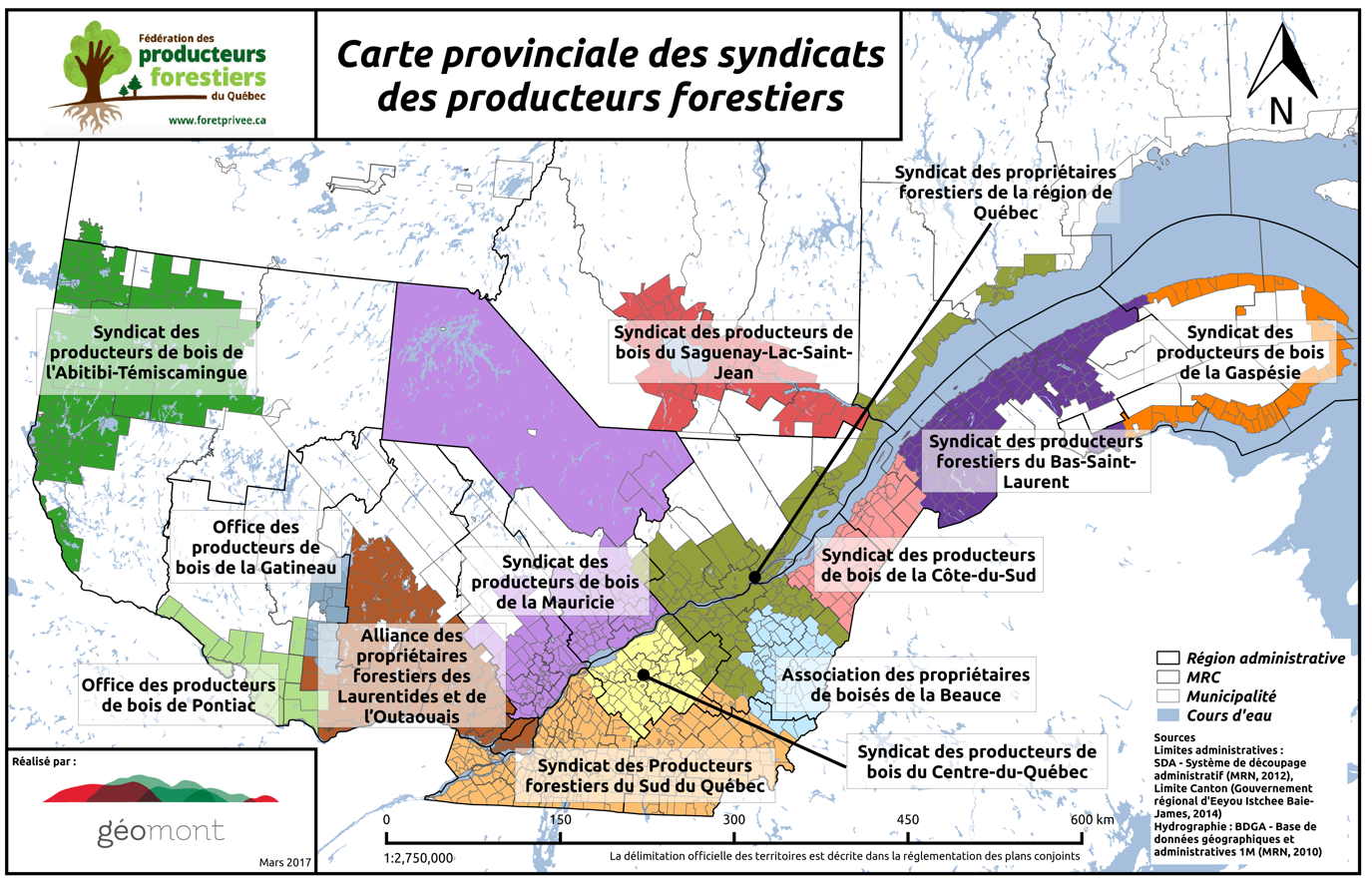 Article de l'année 2019 | Forest Time