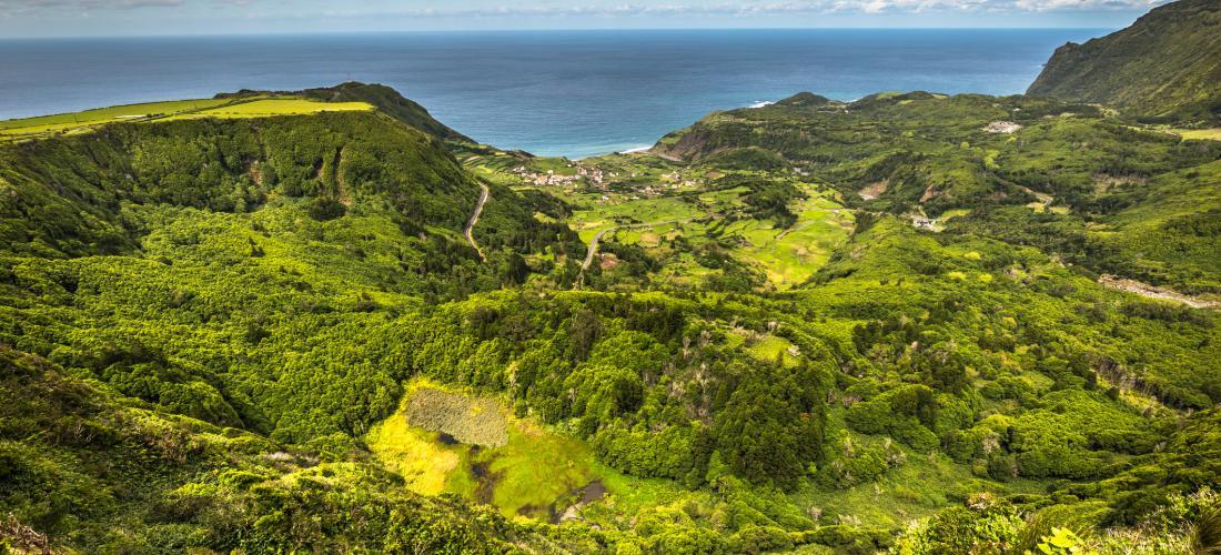 Portugal: A very vibrant wood sector | Forest Time