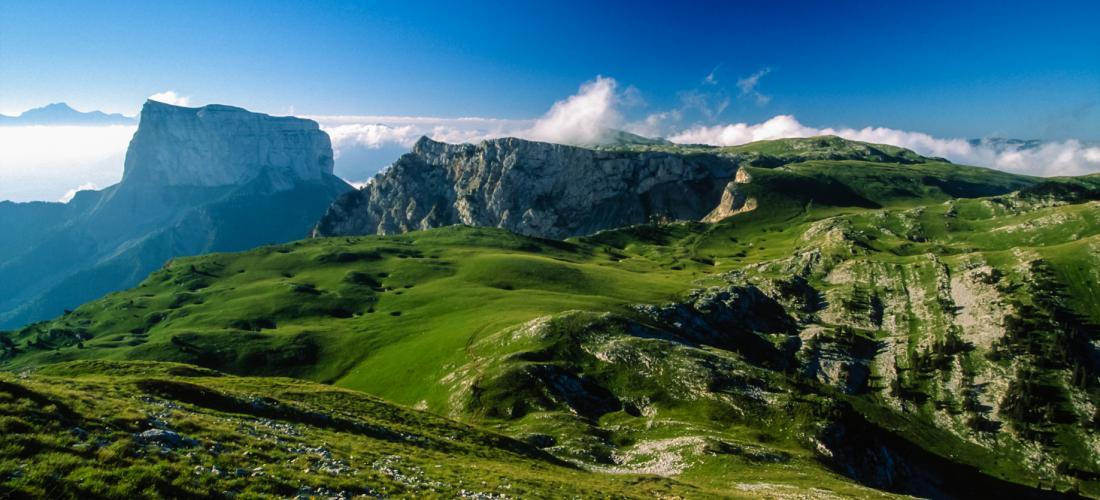 Parcs Naturels Régionaux et Forêts | Forest Time