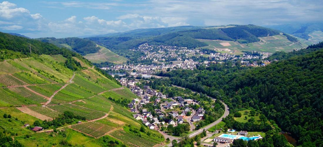 57 Moselle - Une propriété privée rare, la vente de forêts en est d ...