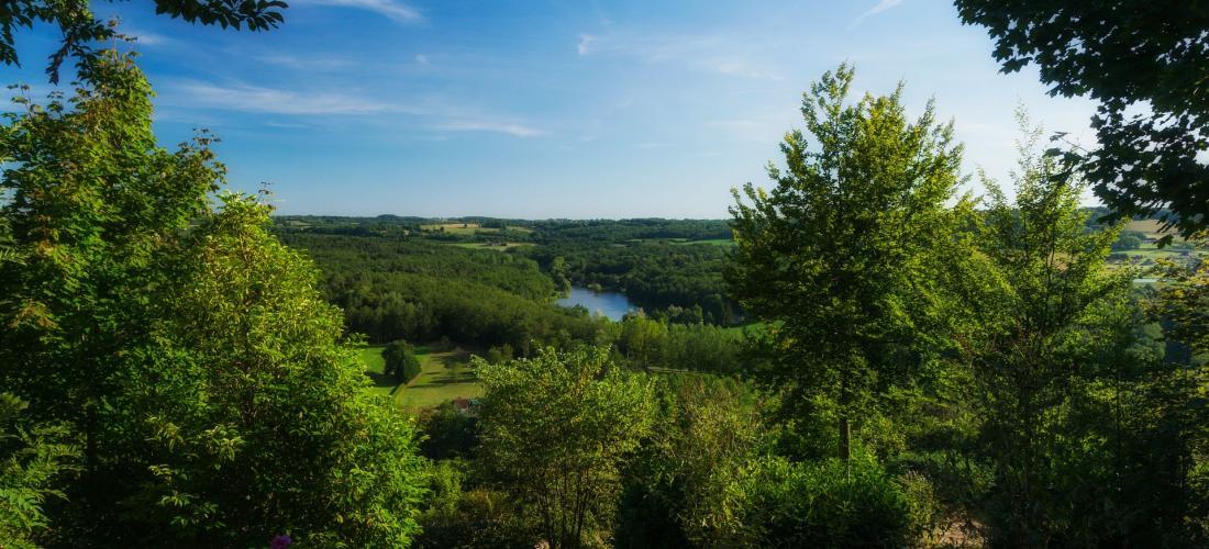 Ventes atypiques : Viagers forestiers et GF | Forest Time