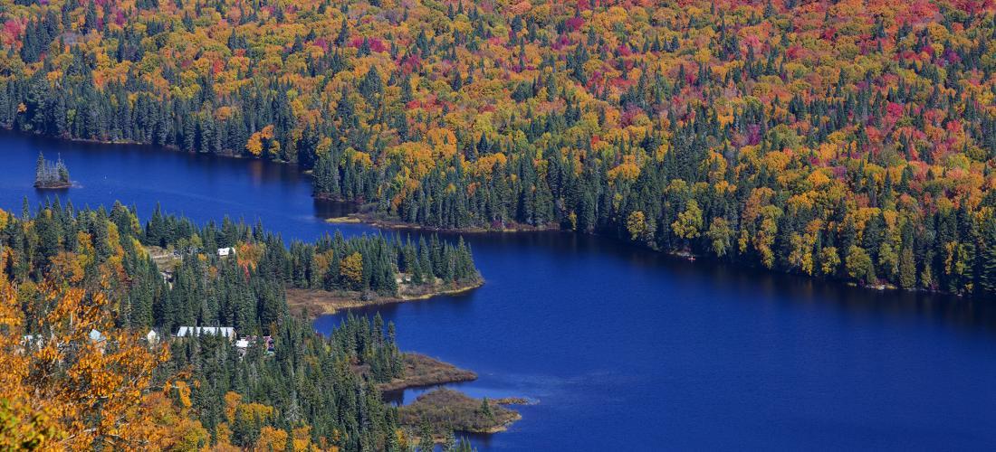La terre à bois québécoise, un couvert caractérisé par sa diversité ...