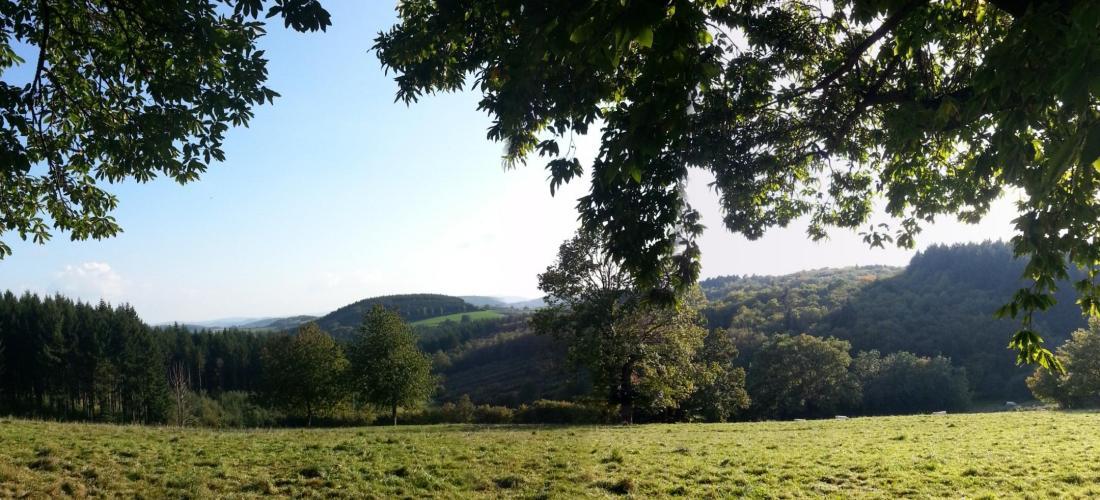 Le massif forestier du Morvan : Entre exploitation et développement ...