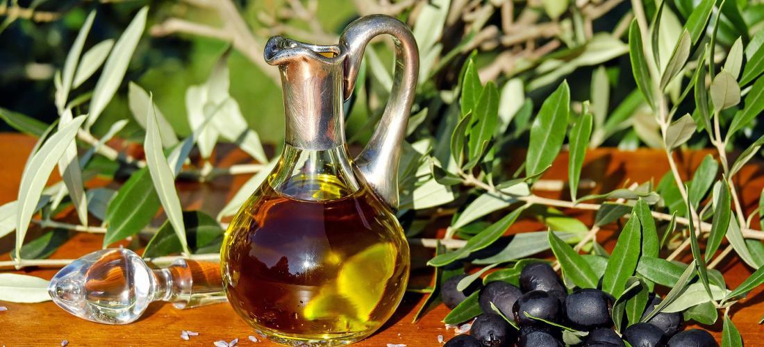 A cultura de olival – Entre tradição milenar e modernidade | Forest Time