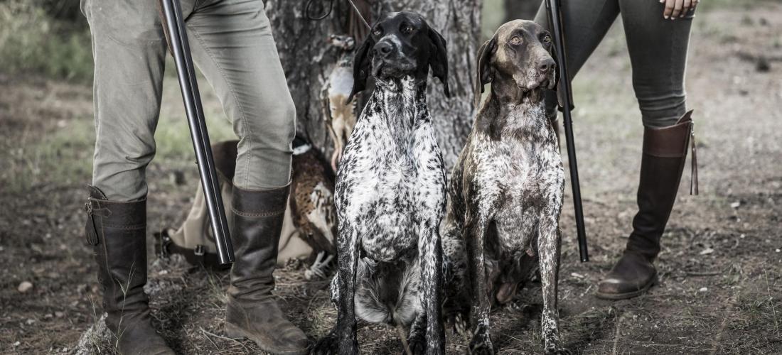 La Chasse en France | Forest Time