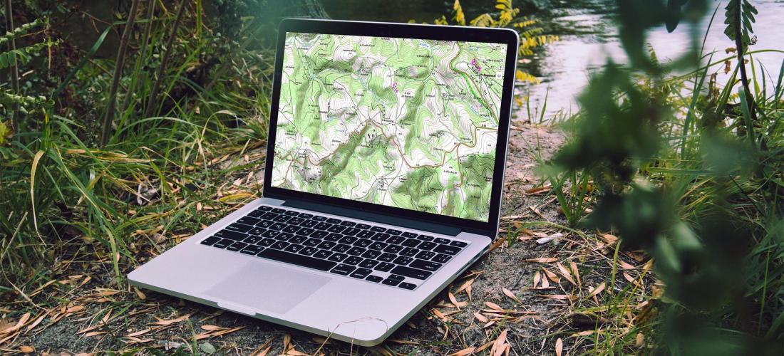 Le saviez-vous? Comment booster vos rendements forestiers? | Forest Time