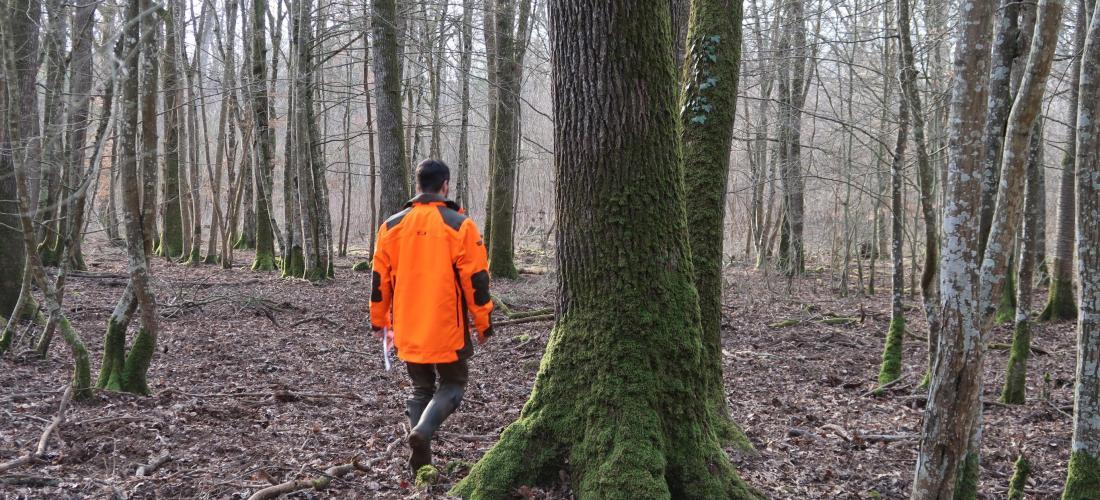 Rétrospective 2020 des ventes du cabinet Forêt Investissement | Forest Time