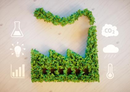 Projet Carbone Forestier : Pour une atténuation du changement ...