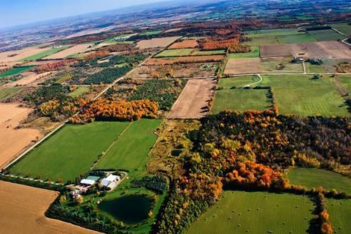 The Carolinian forest: highly-prized woodland | Forest Time
