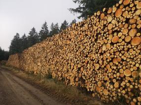 La mécanisation forestière : coupe de bois et engins | Forest Time
